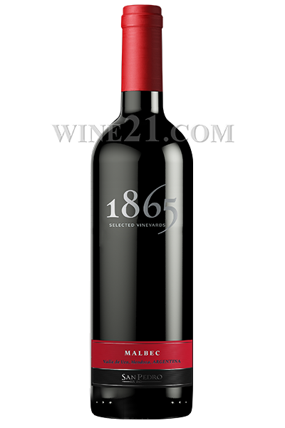 [레드] 1865 셀렉티드 빈야드 말벡(1865 Selected Vineyard Malbec) - 와인21닷컴